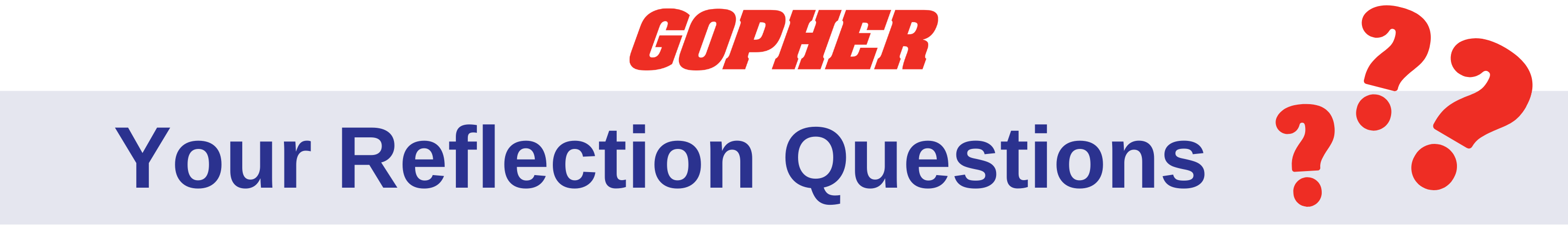 Your Reflection Questions - Gopher PE Professional Development